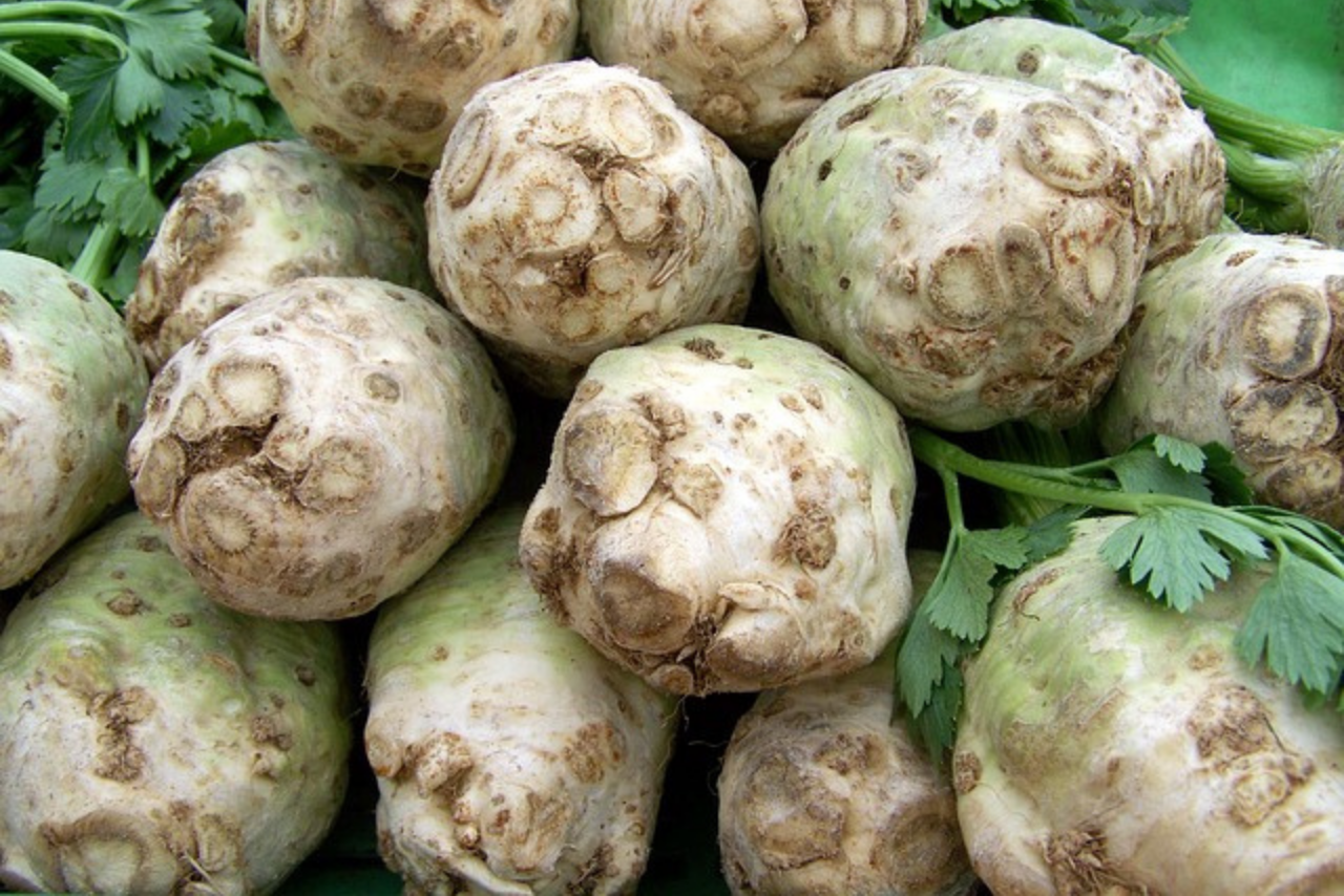 Céleri - Barquette de 6 pants - Plants potagers - Tesa Garden