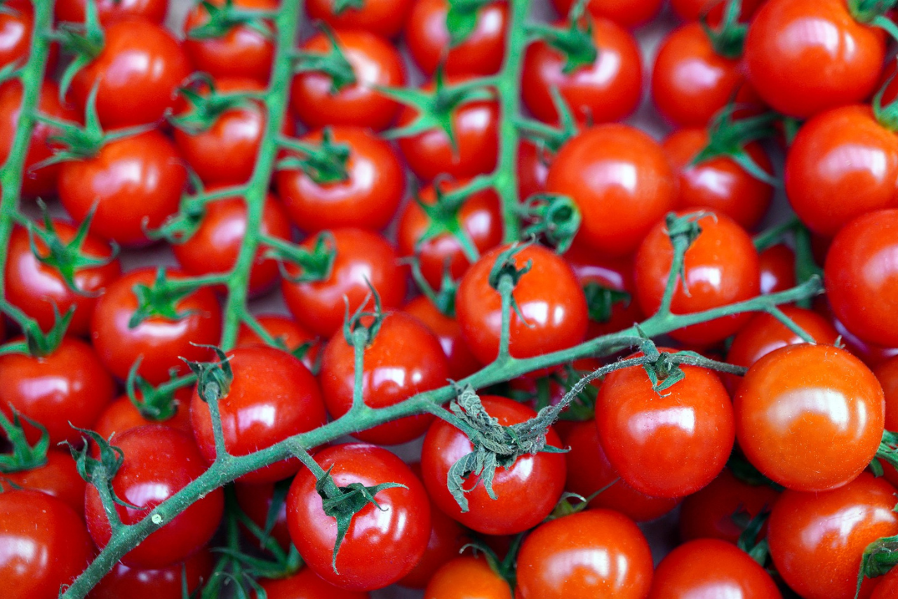 Tomate Cerise collection - Pot de 10.5 cm - Plants potagers - Tesa Garden